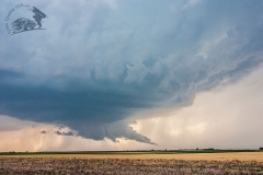 Photos and videos of tornadoes, storms etc. - https://www.stormchasingusa.com