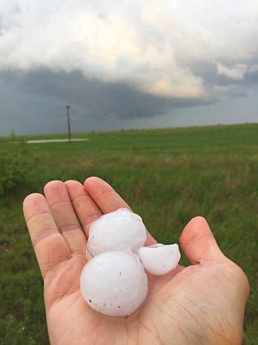 Day 4: Beautiful supercells but no tornadoes - https://www.stormchasingusa.com