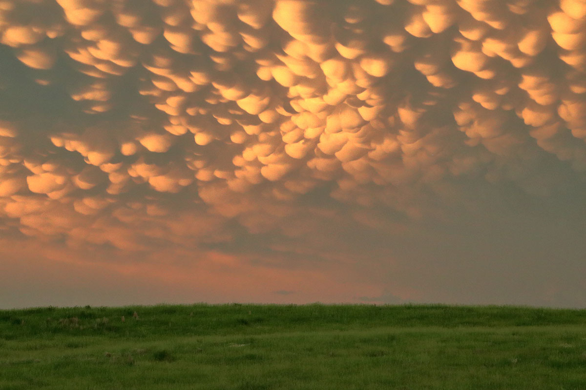 Day 6 (June 1st) – Bust day in Nebraska but with beautiful mammatus - https://www ...