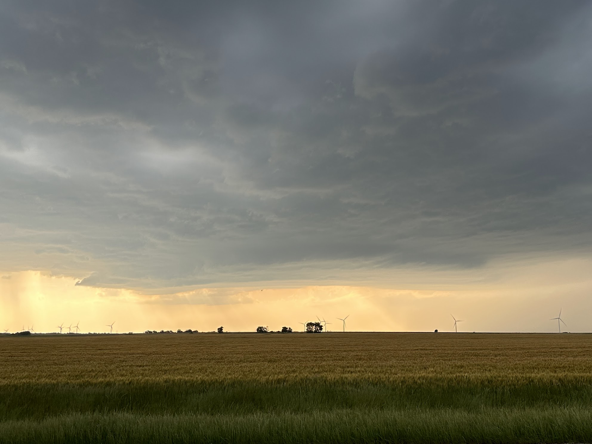 Day 2: Underneath a rotating wall cloud - https://www.stormchasingusa.com